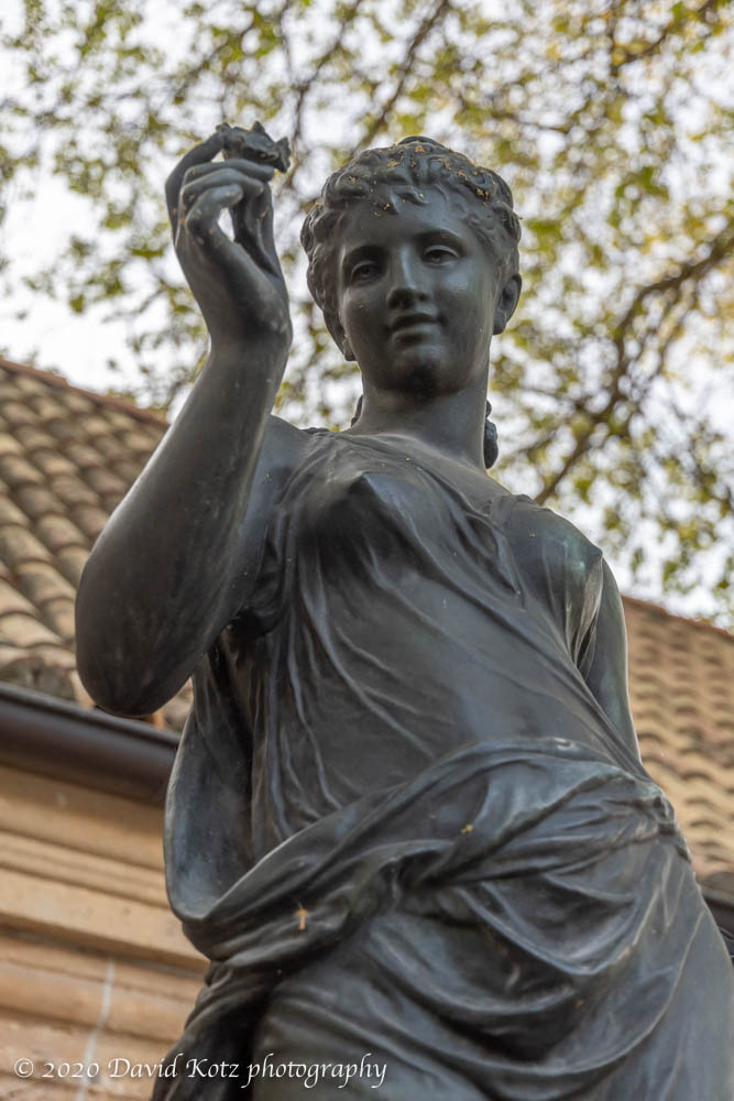 Fountains of Altstadt – David Kotz
